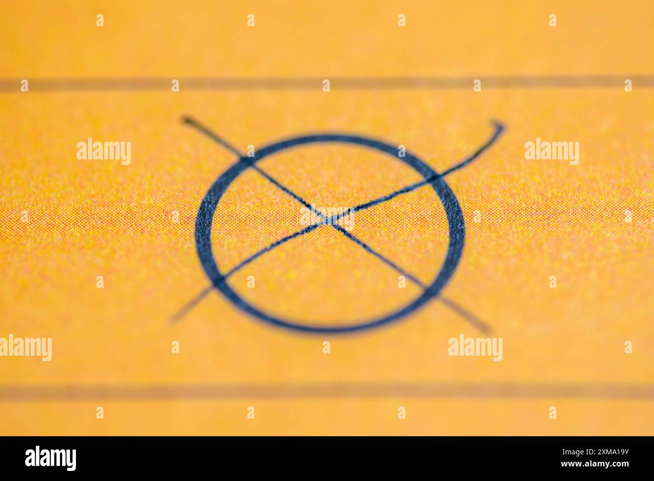 Ballot paper, ballot paper, ballot cross, circle, cross, ticked Stock ...