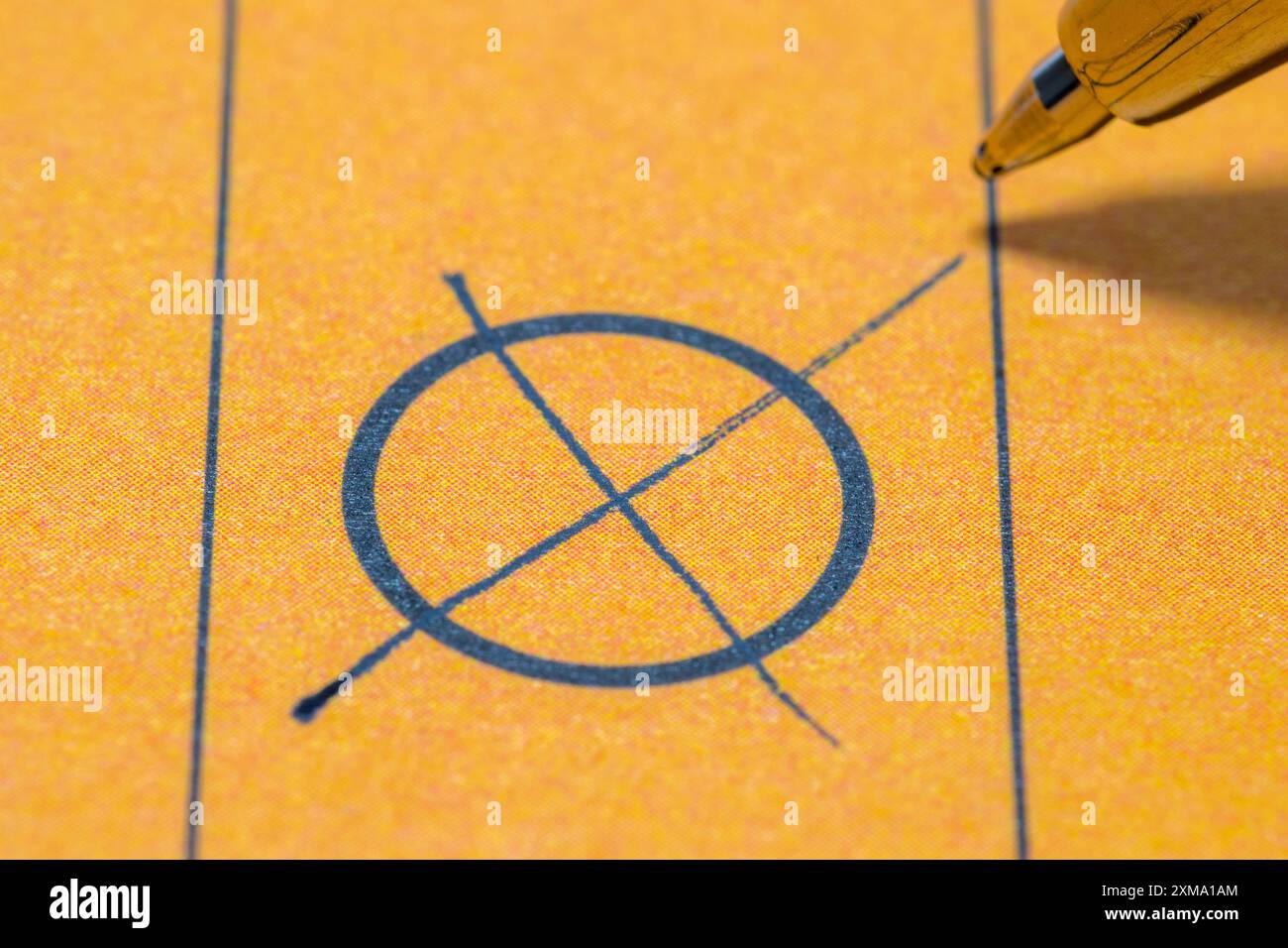 Ballot paper, ballot paper, ballot cross, circle, cross, ticked, biros ...