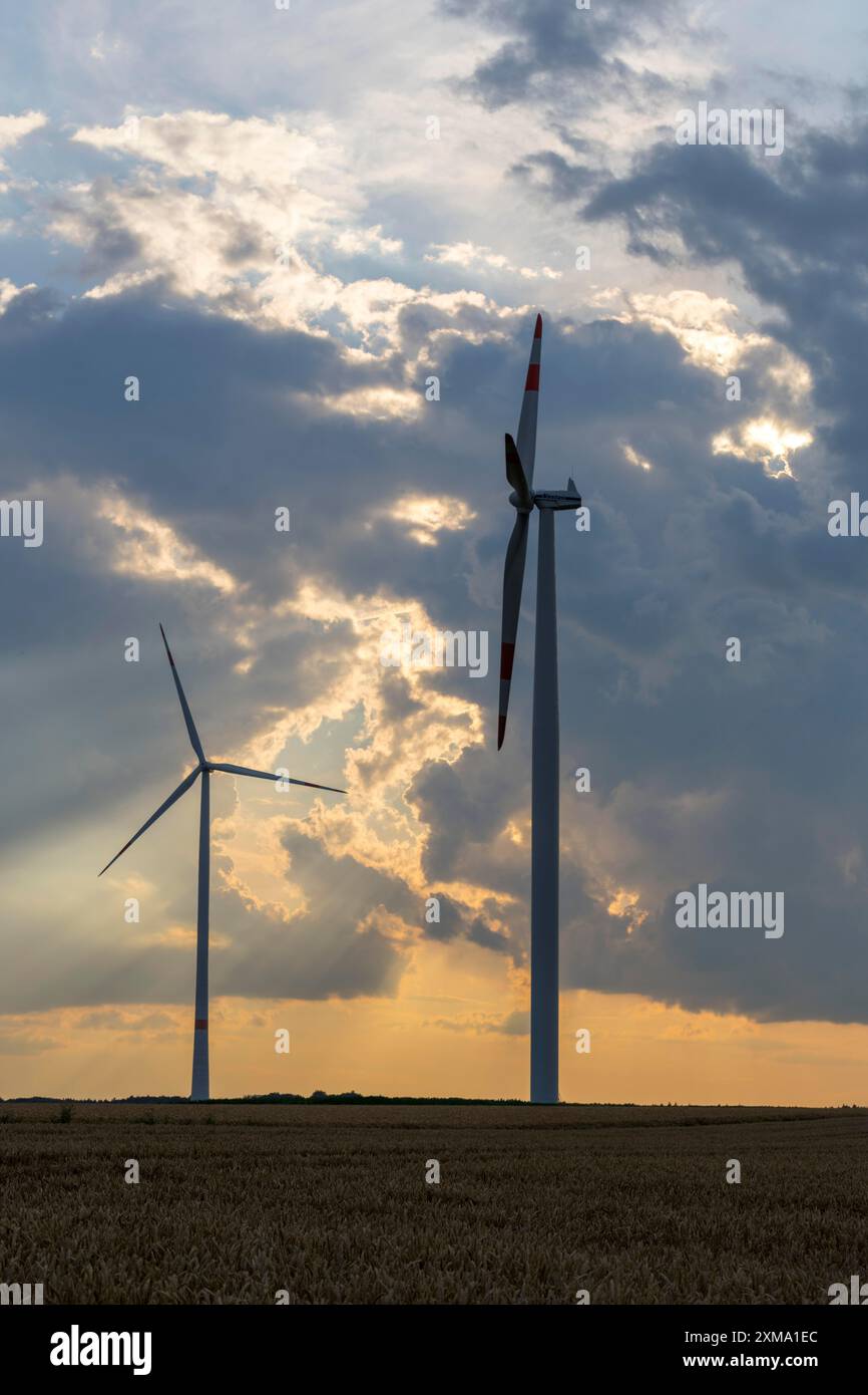 Wind farm, wind turbine, wind turbines, in front of sunset, storm ...