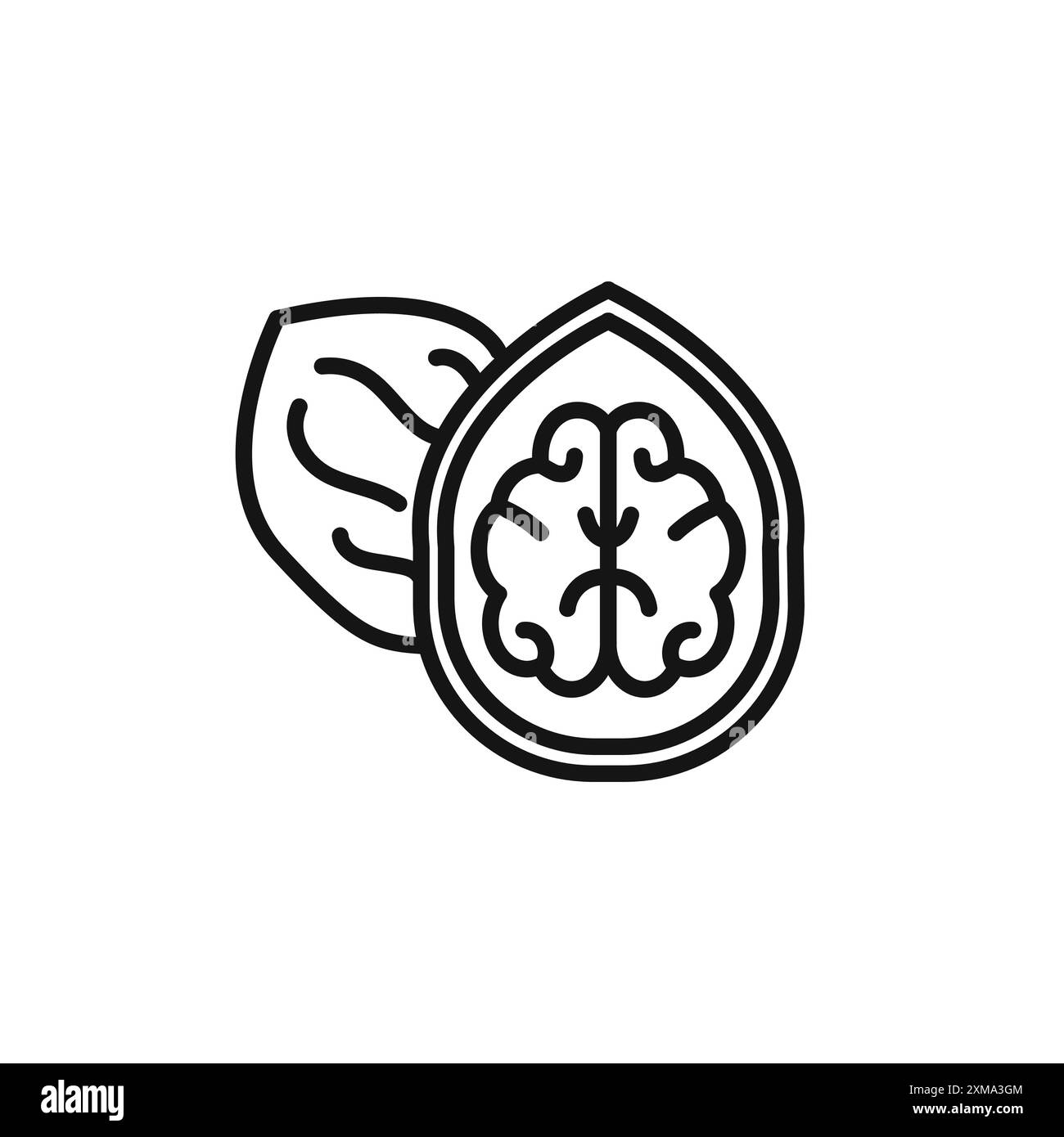 Walnut icon outline collection or set in black and white outline Stock ...