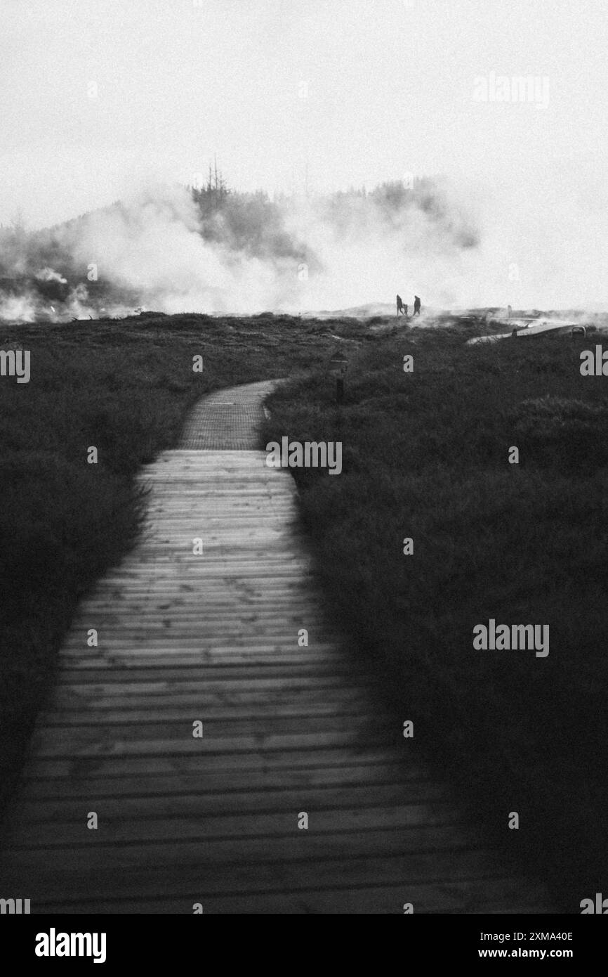 Black and white photo of a wooden plank path through a misty landscape ...