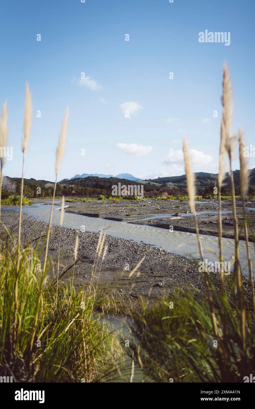 Shallow river new zealand hi-res stock photography and images - Alamy