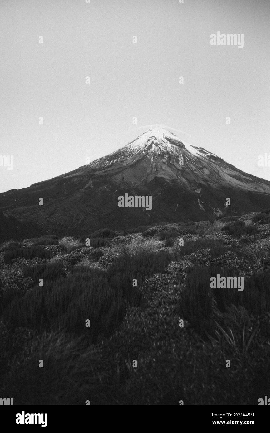 A snow-covered mountain rises above a vegetation-rich plain in black ...
