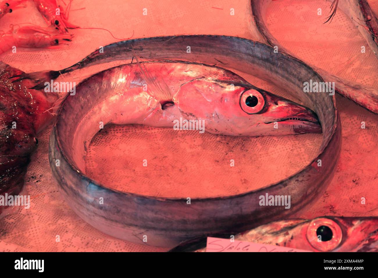 Silver scabbardfish at the historic Catania fish market, Catania ...