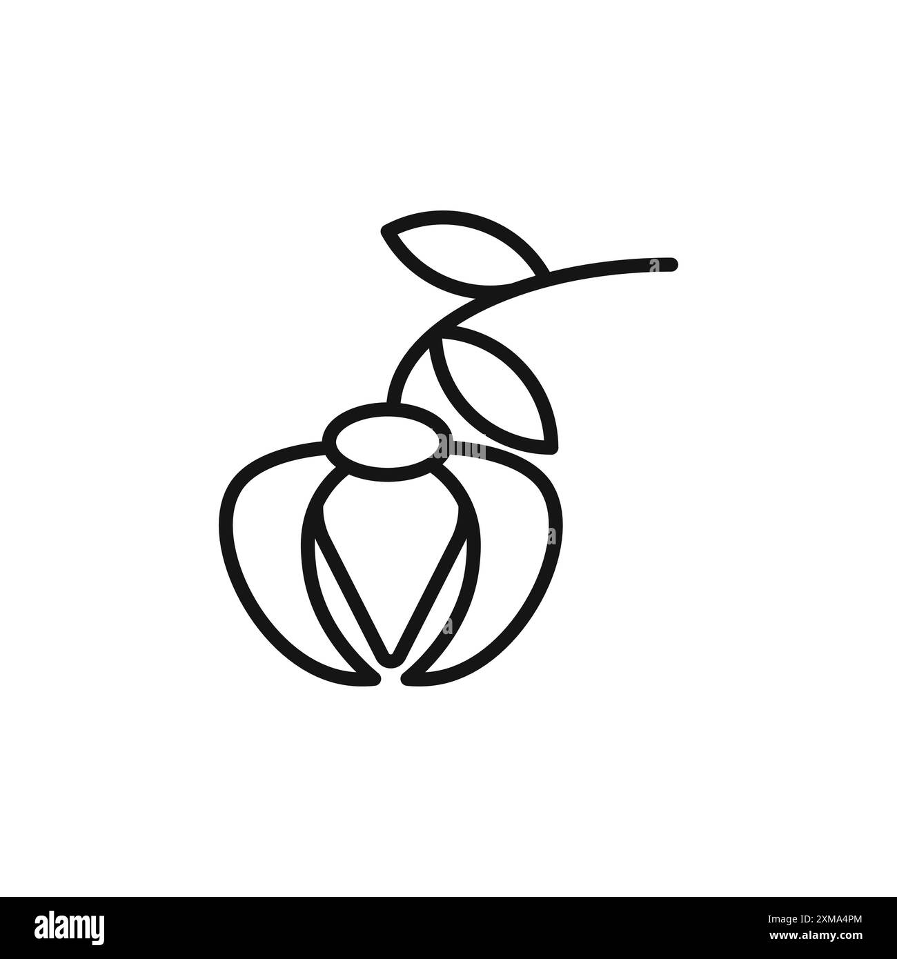 Ylang ylang icon outline collection or set in black and white outline ...