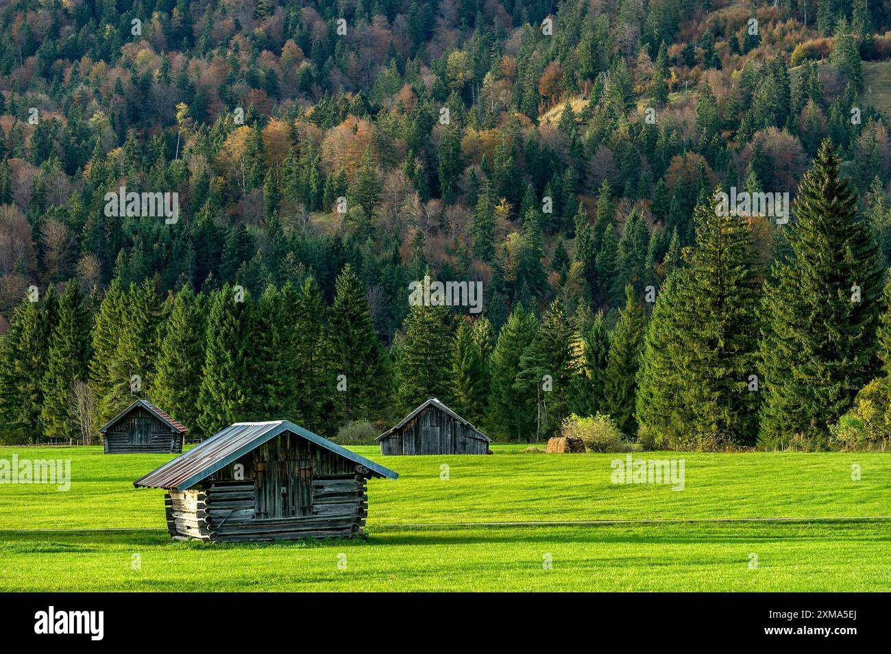 Green meadow with log cabins, wooden hay huts, forest, mountain ...