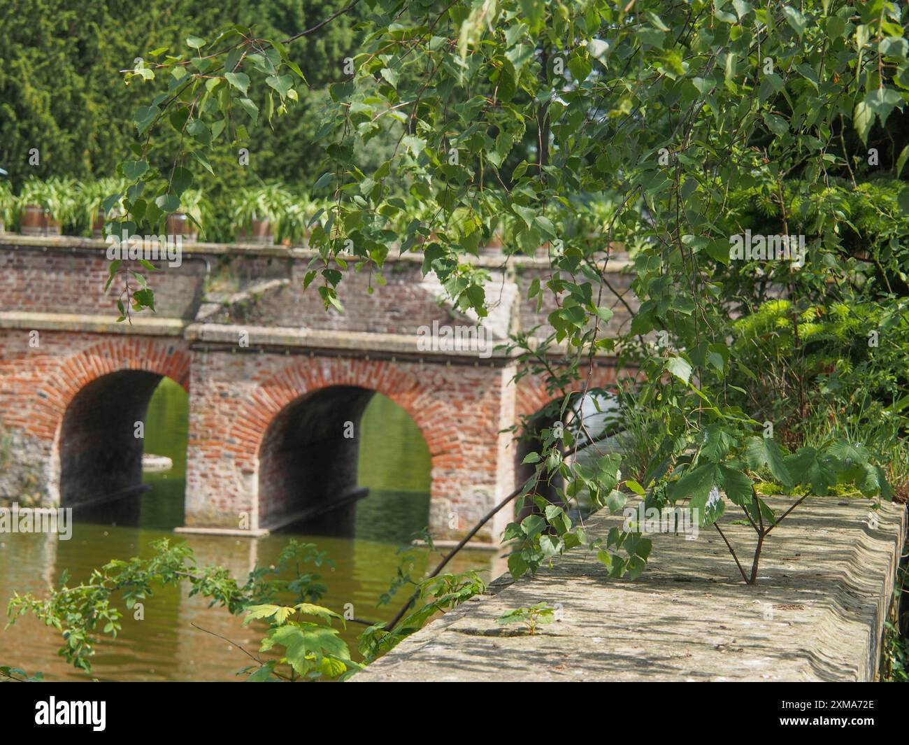 Stone bridge over a river, surrounded by lush greenery and trees ...