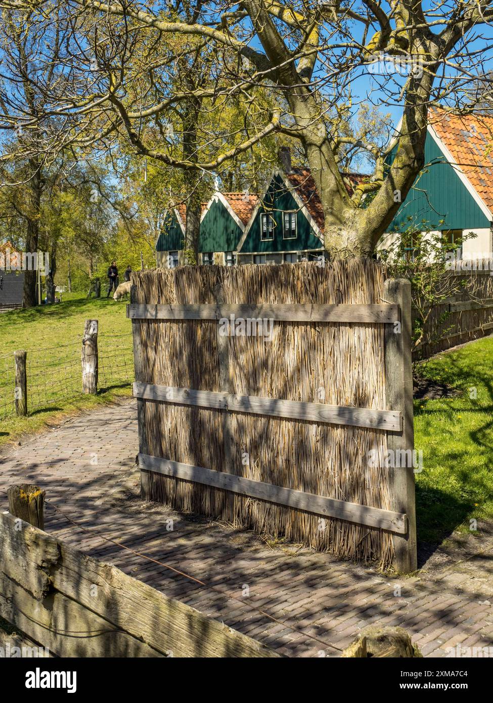 A wooden fence, shady path and traditional wooden houses under a large ...