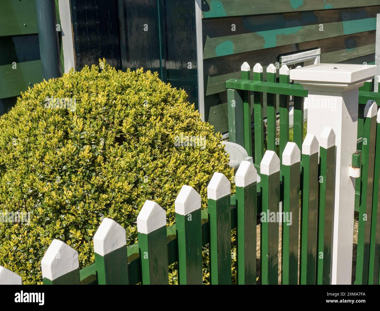 White-green fence in front of a small house and a large green hedge ...