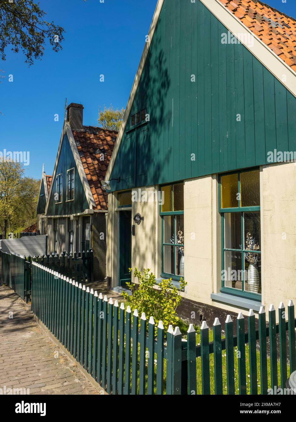 Green painted houses with fences and sunny garden along a quiet street ...