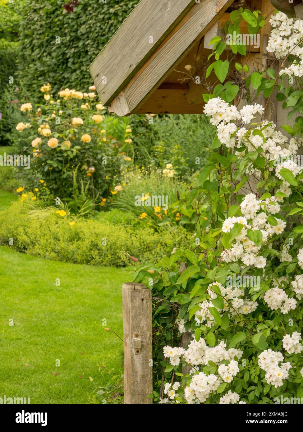 Rose arbour hi-res stock photography and images - Alamy