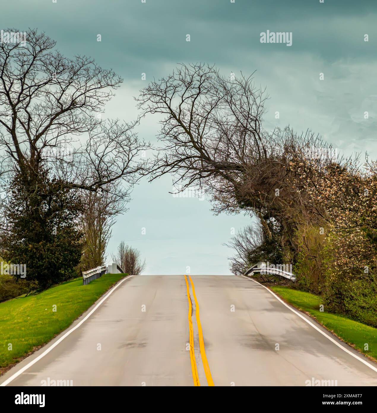 Rural highway cresting a hill through overhanging trees in autumn Stock ...