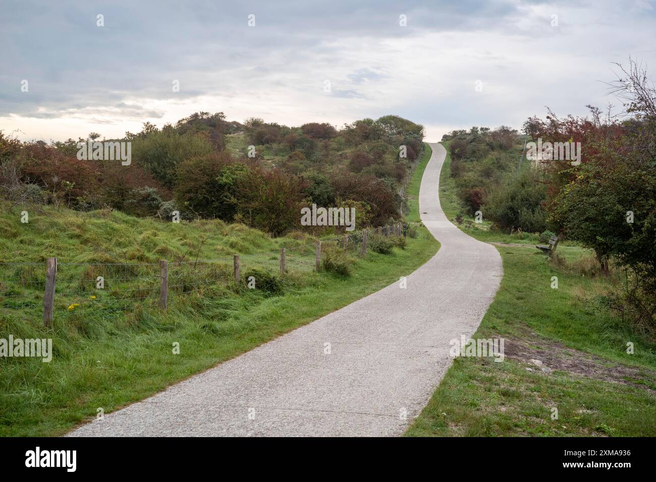 A narrow path winds its way through a hilly landscape with dense ...