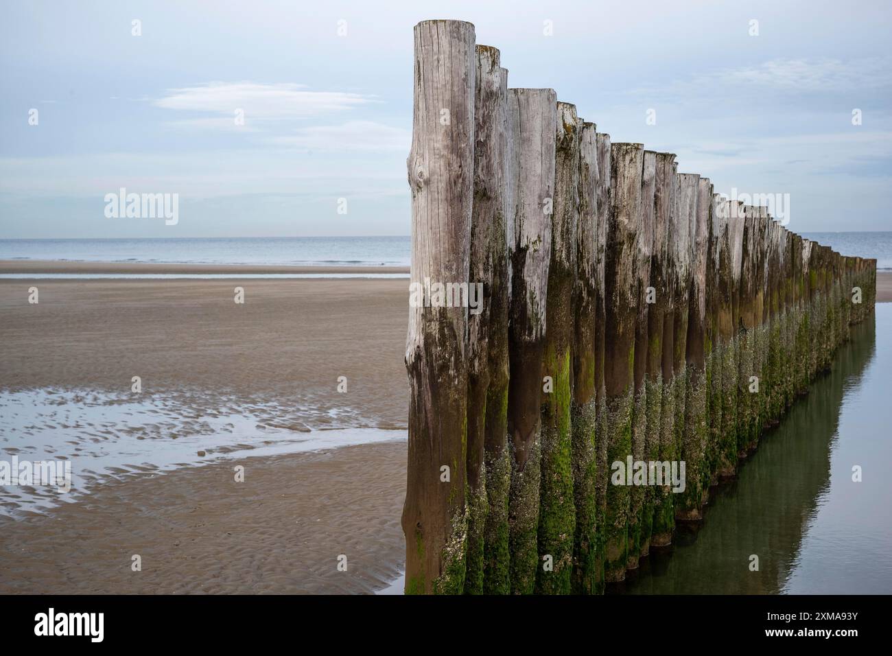 Old wooden picket fence stretches along a wet sandy area on the beach ...