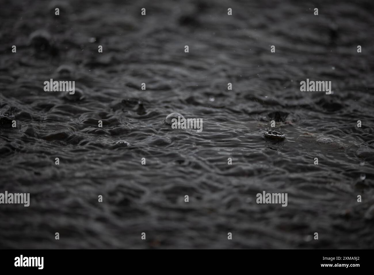 Water surface. Water surface background. Raindrops background. Rain ...