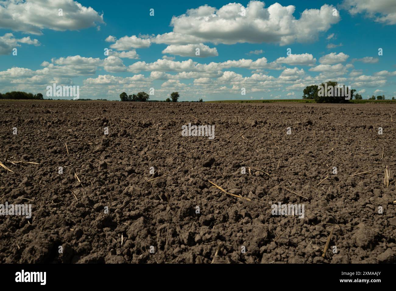 Agriculture concept. Gardening season concept. Texture of fertile soil. Soil for gardening. Mud ...
