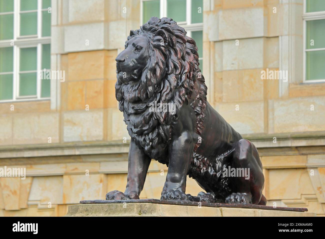 Large bronze lion figure with mane, sculpture, lion's mane, Ducal ...