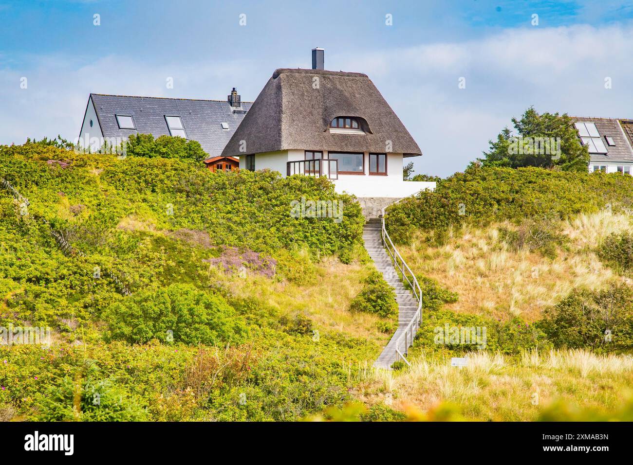 Thatched-roof houses in the dune belt of Hoernum, Sylt Stock Photo - Alamy