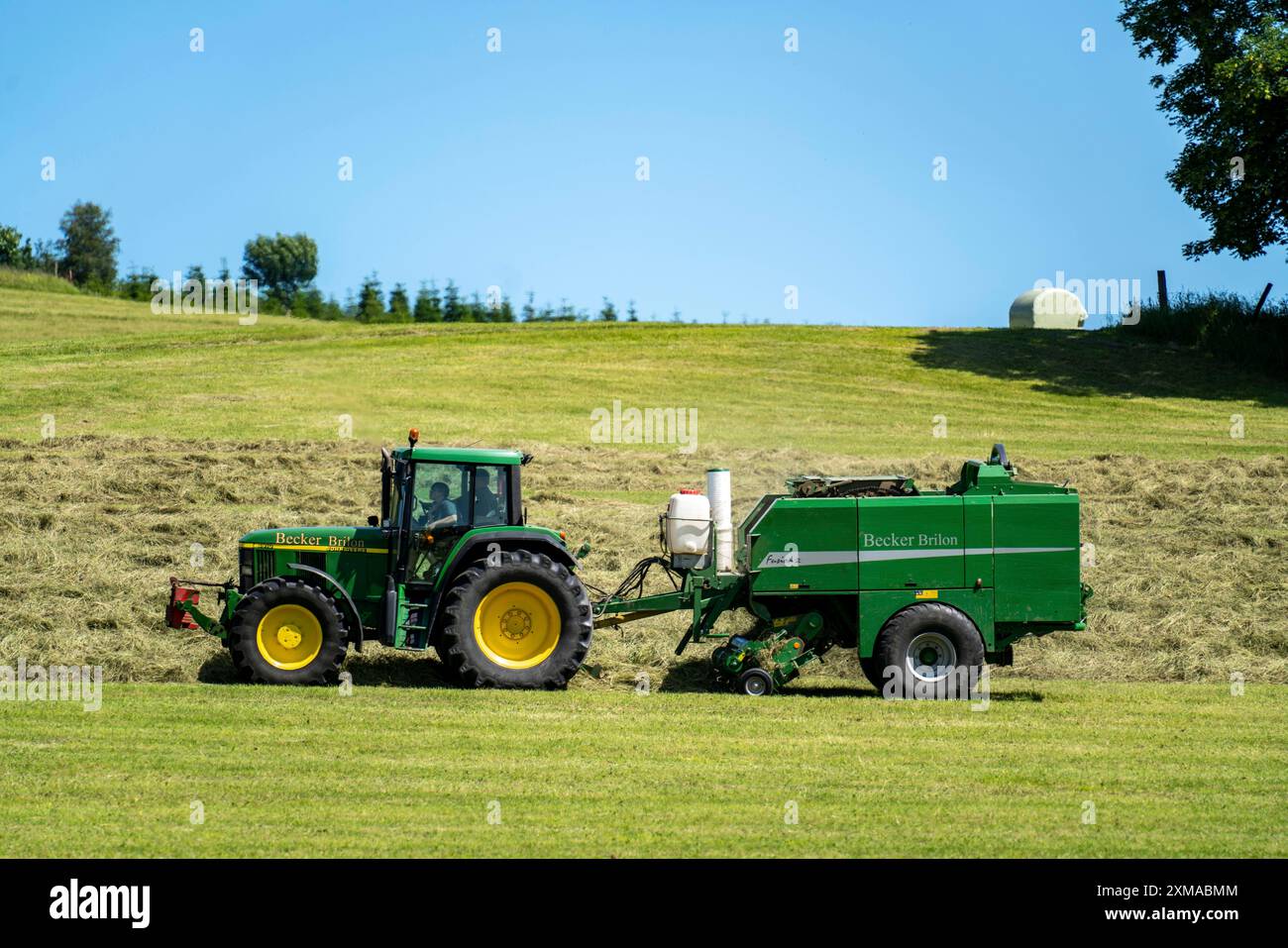 Hay harvest, farmer with agricultural machine, picks up mown hay, which ...