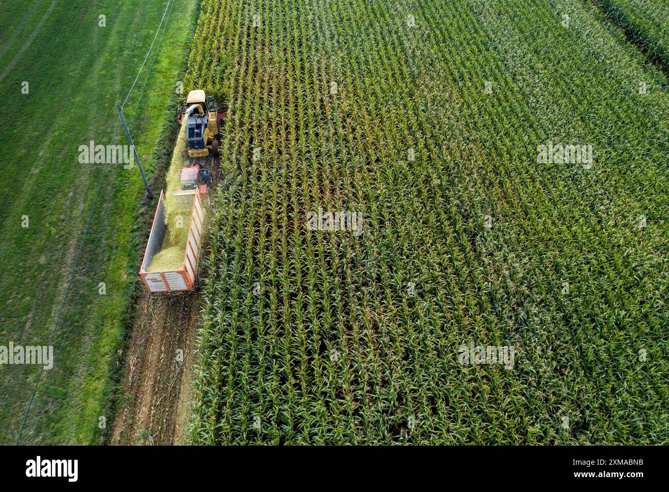 Combine harvester works way hi-res stock photography and images - Alamy