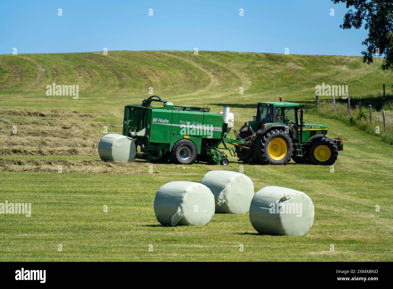 Hay harvest, farmer with agricultural machine, picks up mown hay, which ...