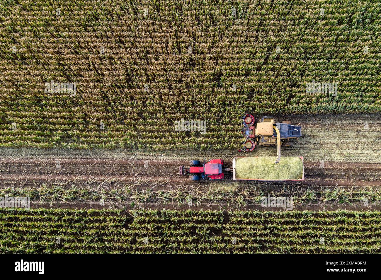 Combine harvester works way hi-res stock photography and images - Alamy