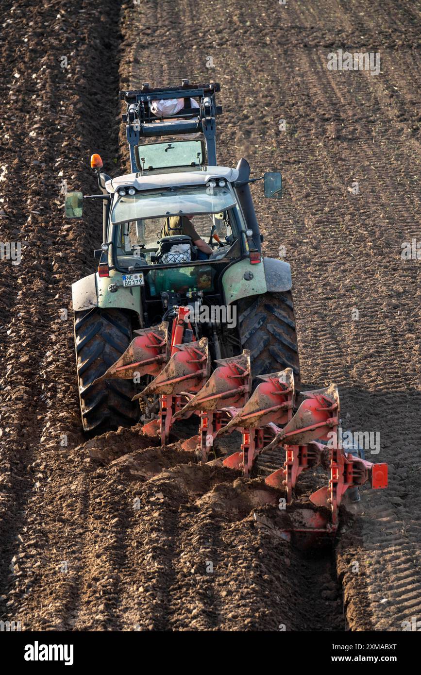 Farmer ploughing a field, tractor with plough, near Neuss, North Rhine ...