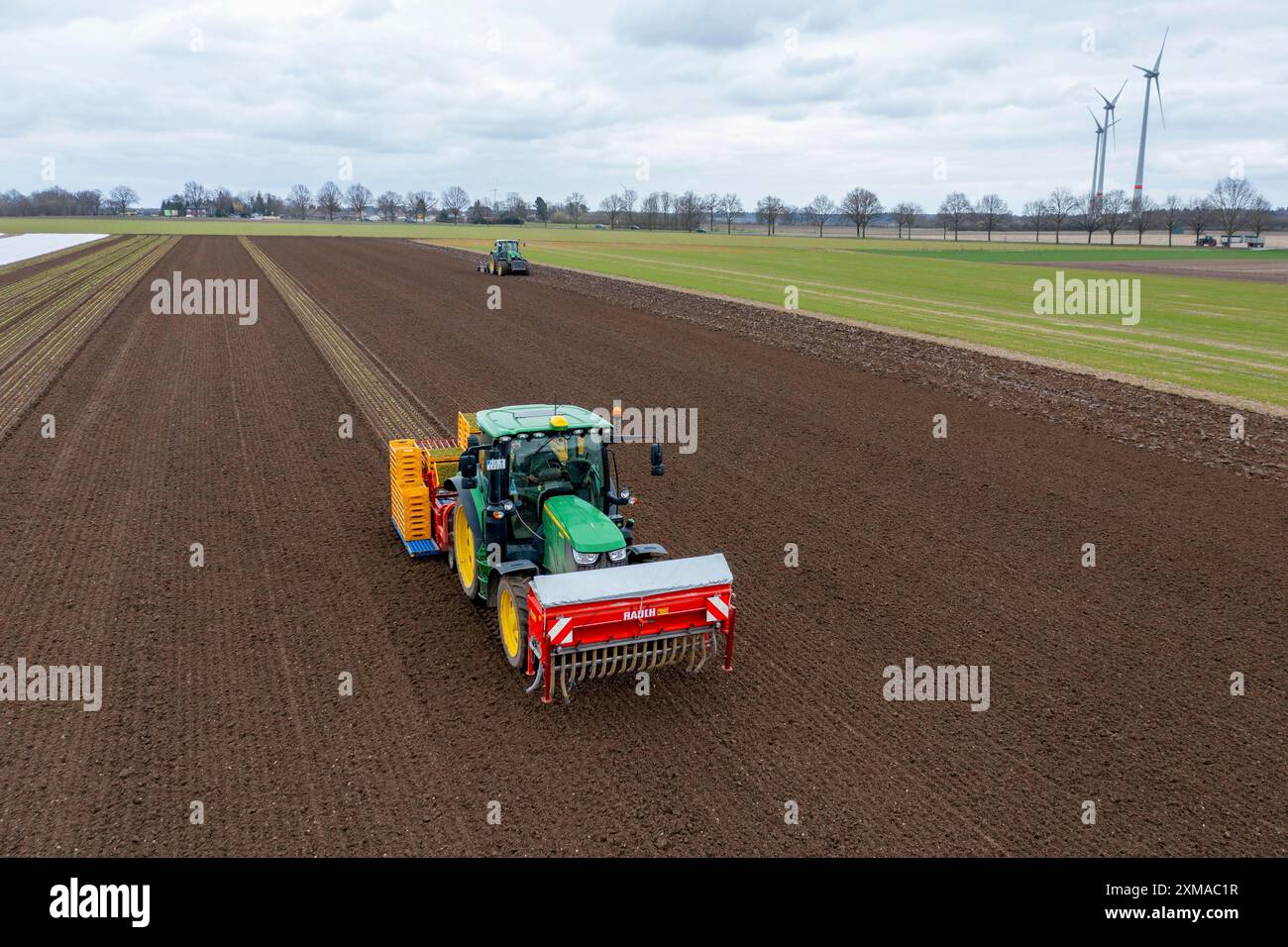 Lettuce plants are planted with a planting machine, tractor with ...