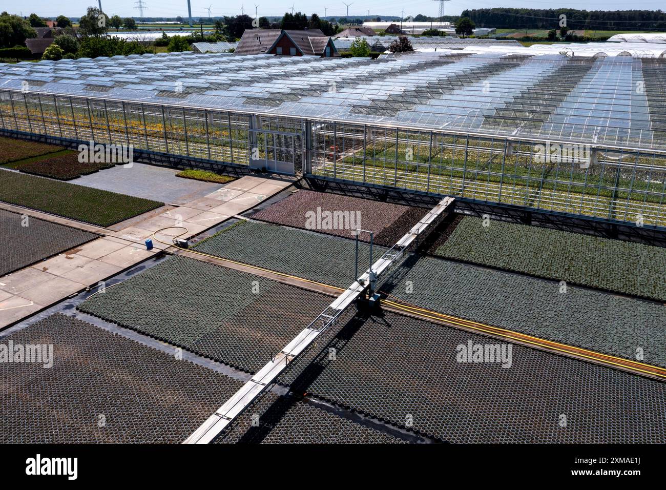 Horticultural business, irrigation with a sprinkler system, mobile on ...