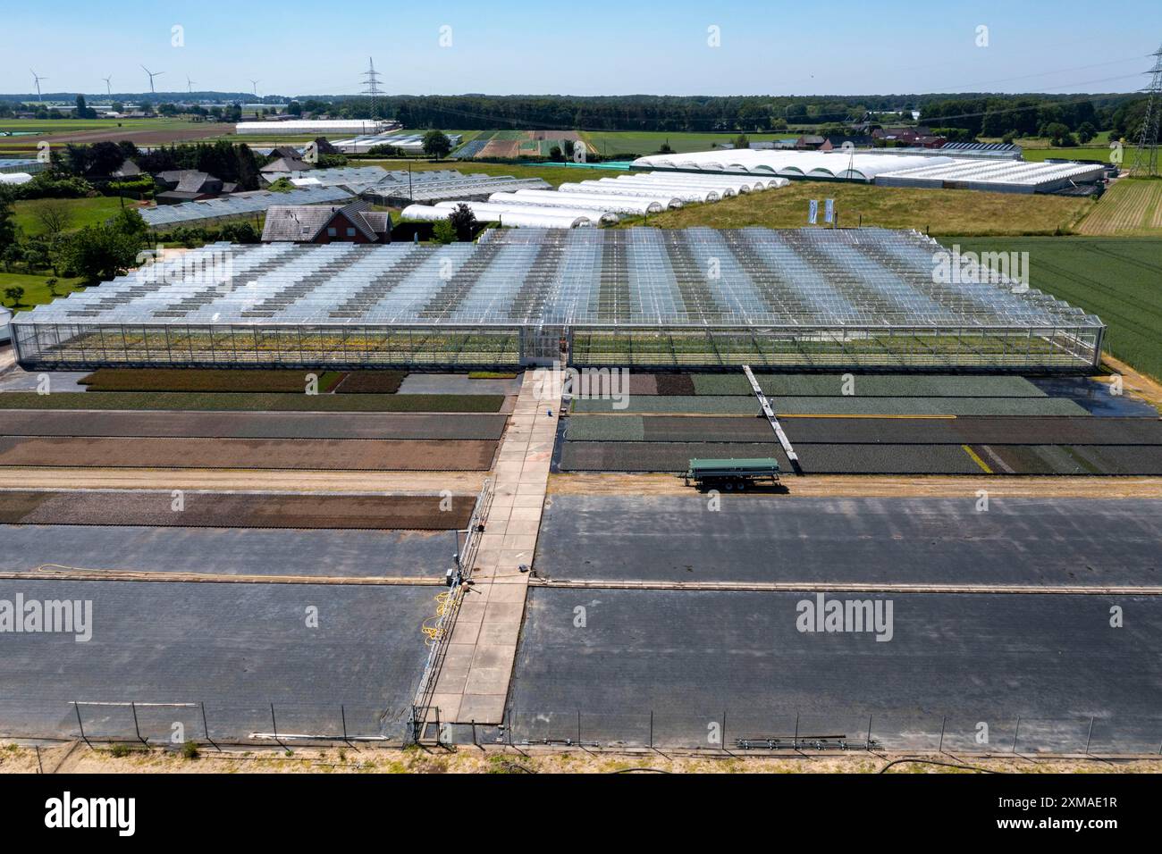 Horticultural business, irrigation with a sprinkler system, mobile on ...