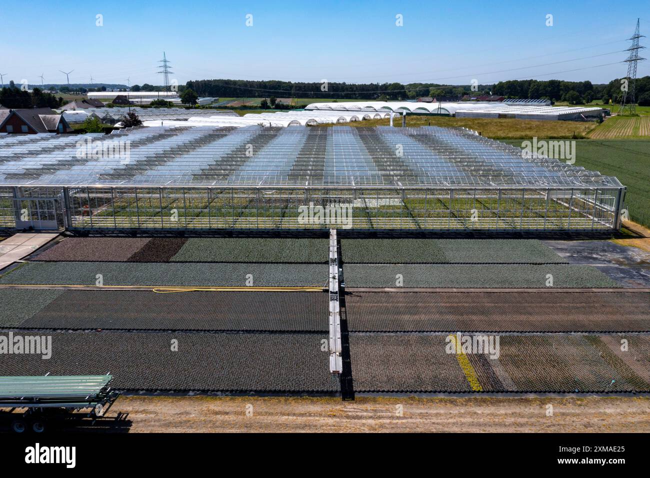 Horticultural business, irrigation with a sprinkler system, mobile on ...