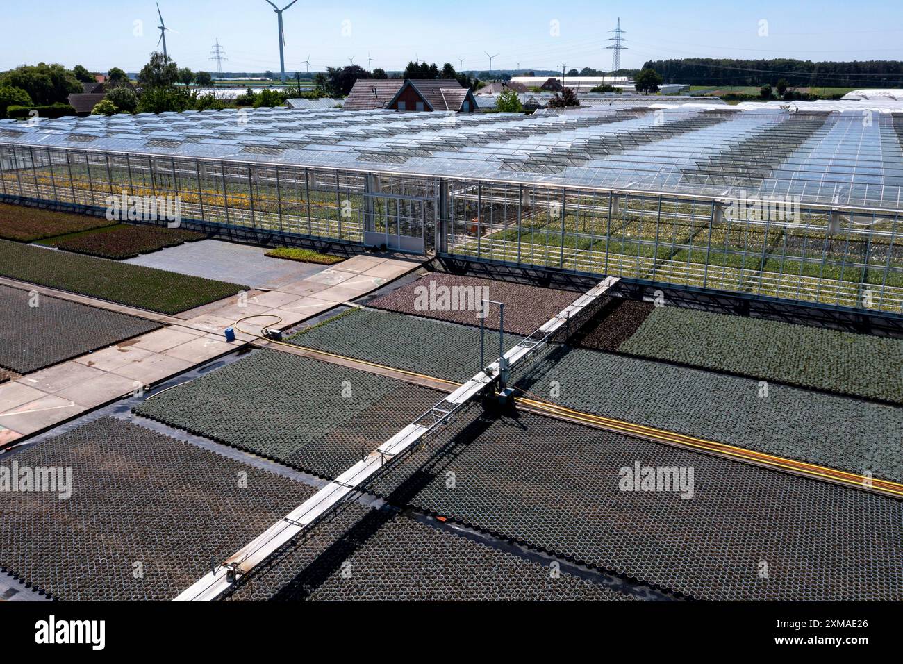 Horticultural business, irrigation with a sprinkler system, mobile on ...