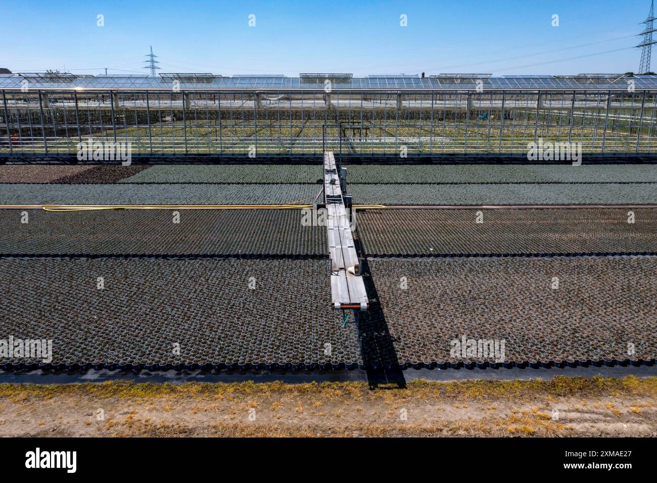 Horticultural business, irrigation with a sprinkler system, mobile on ...