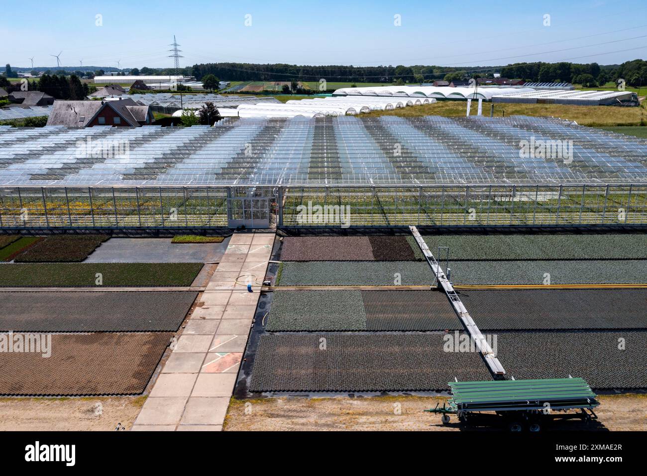 Horticultural business, irrigation with a sprinkler system, mobile on ...