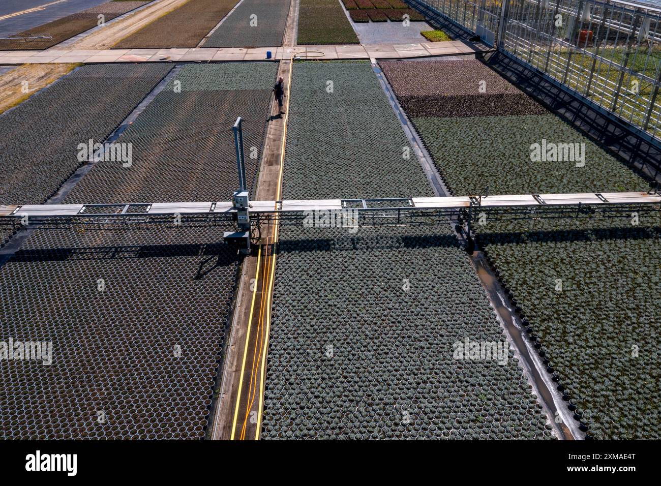 Horticultural business, irrigation with a sprinkler system, mobile on ...