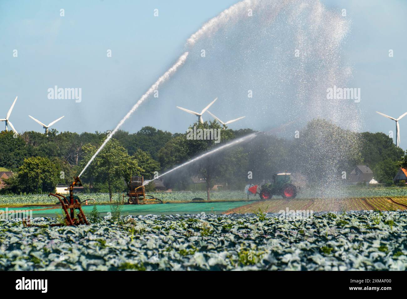 A field is artificially irrigated, water is sprayed onto the field via ...