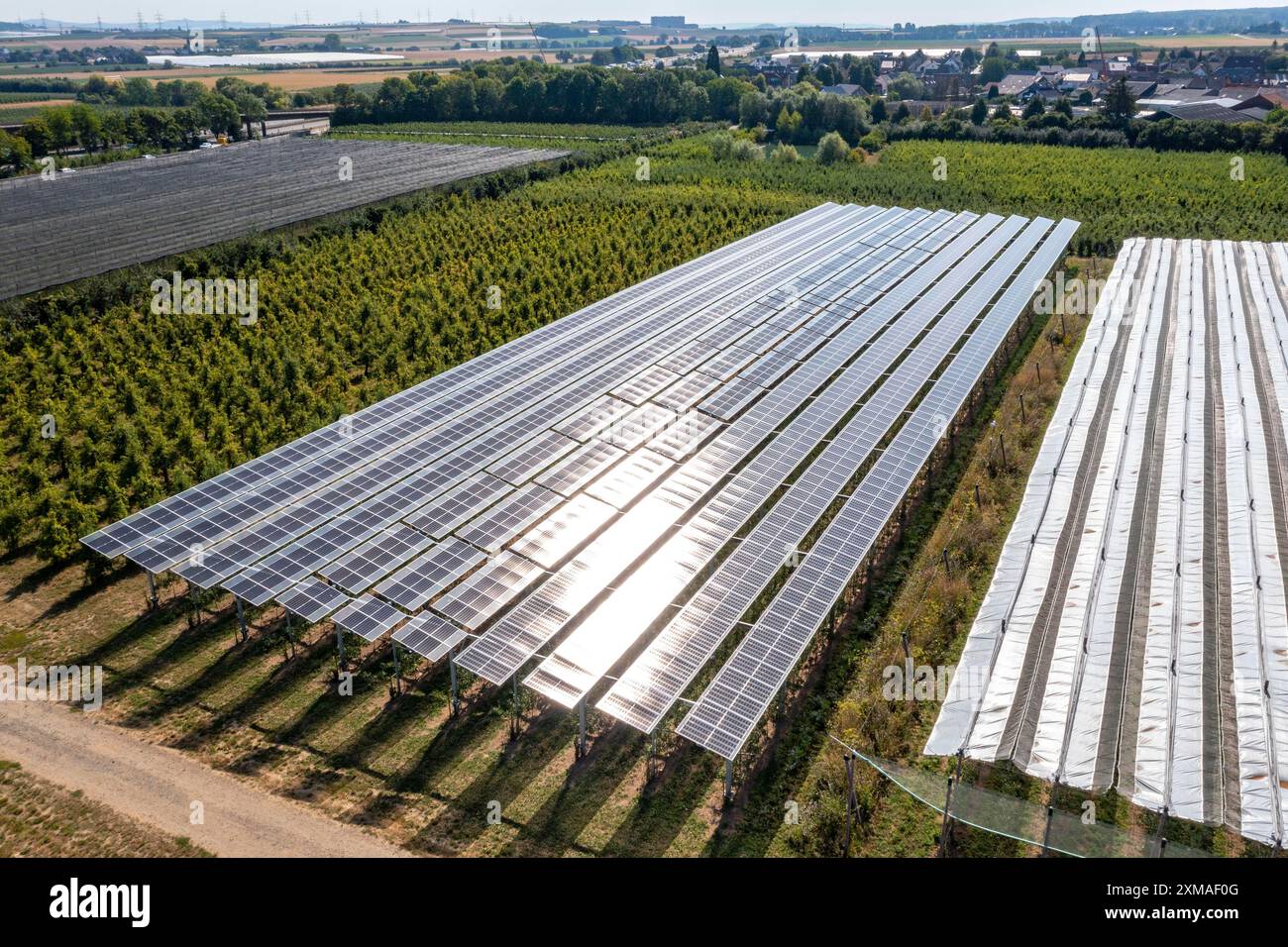 Agri-photovoltaic test plant, an apple orchard with two different ...