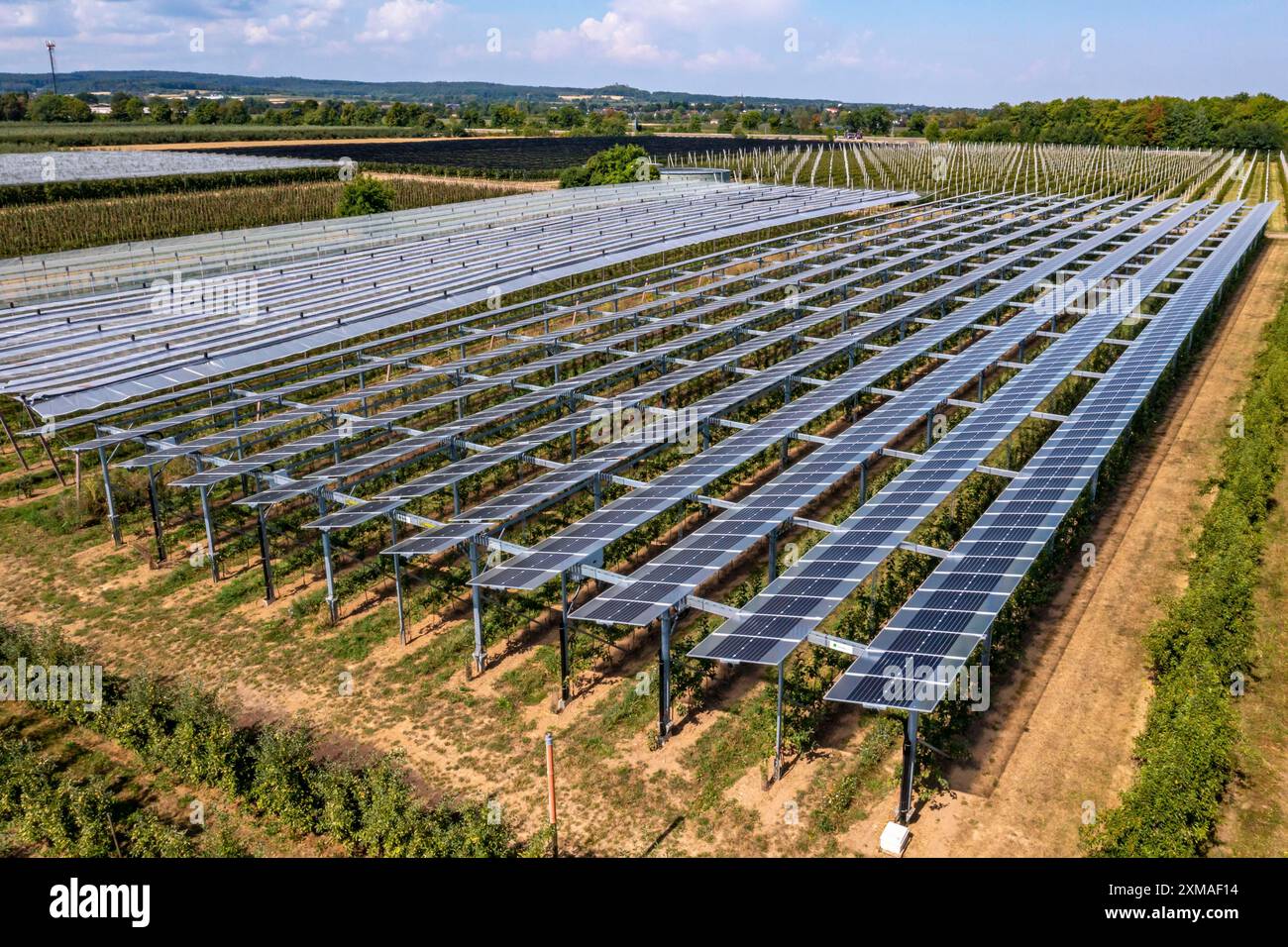 Agri-photovoltaic test plant, an apple orchard with two different ...