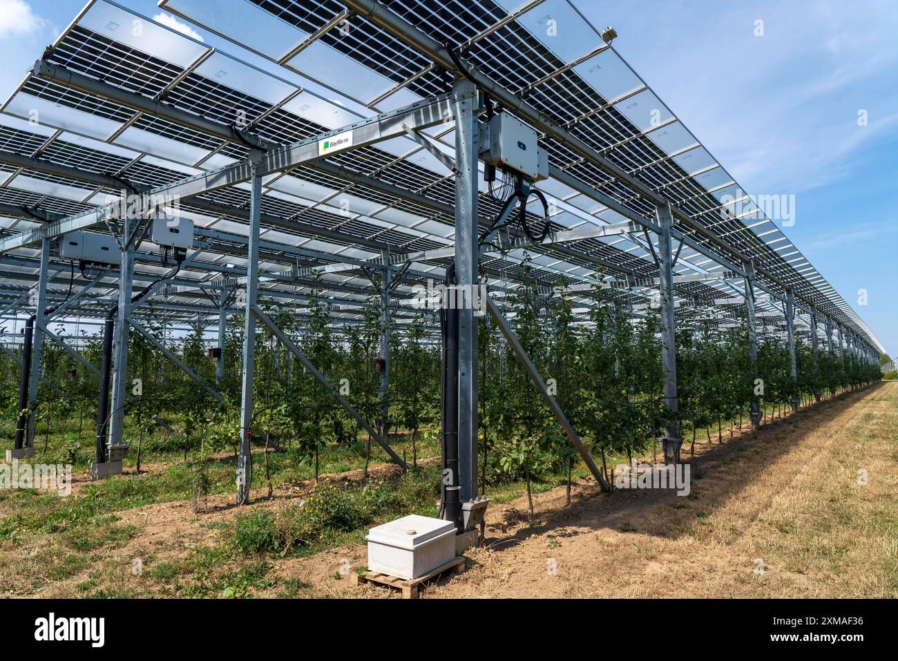 Agri-photovoltaic test plant, an apple orchard with two different ...