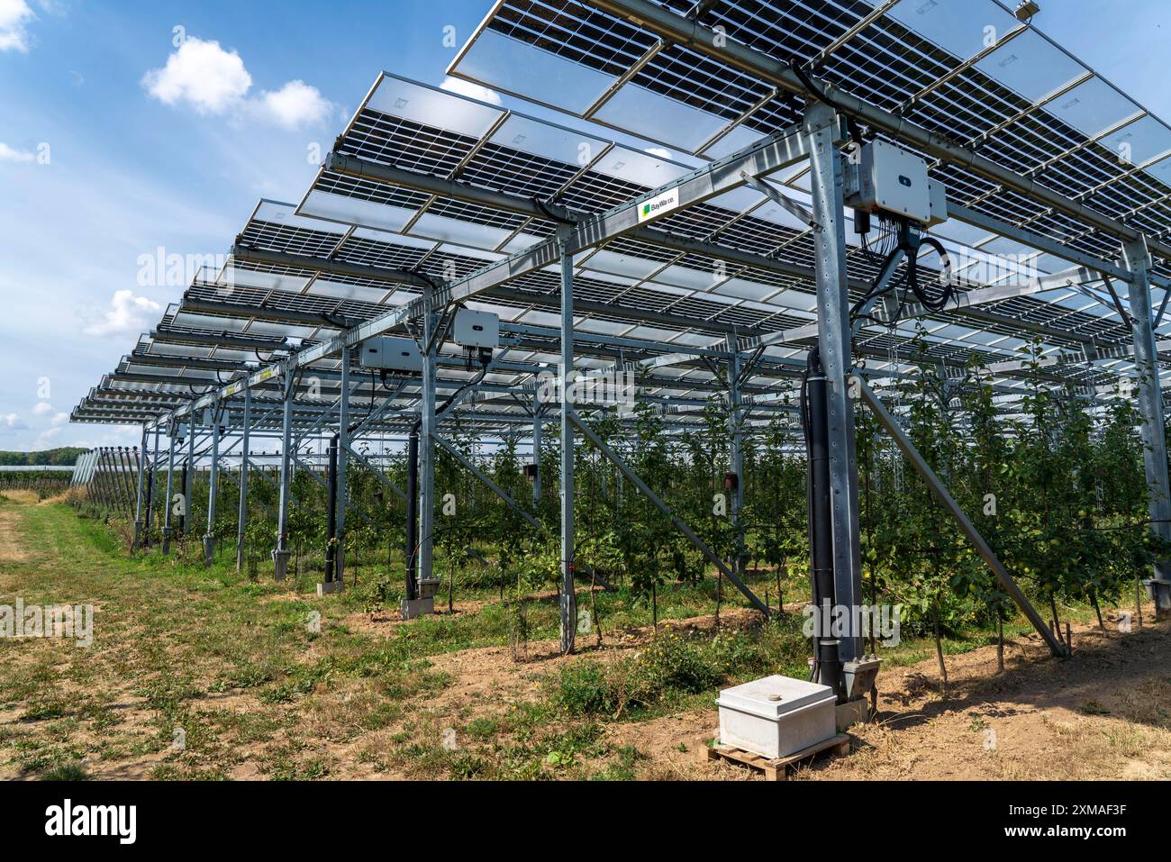 Agri-photovoltaic test plant, an apple orchard with two different ...
