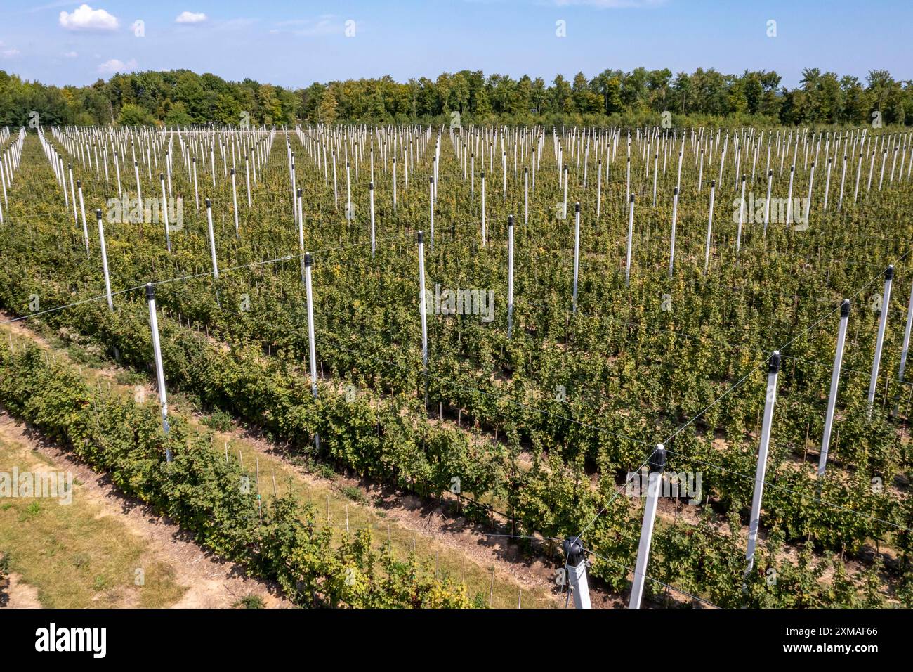 Cultivation culture hi-res stock photography and images - Alamy