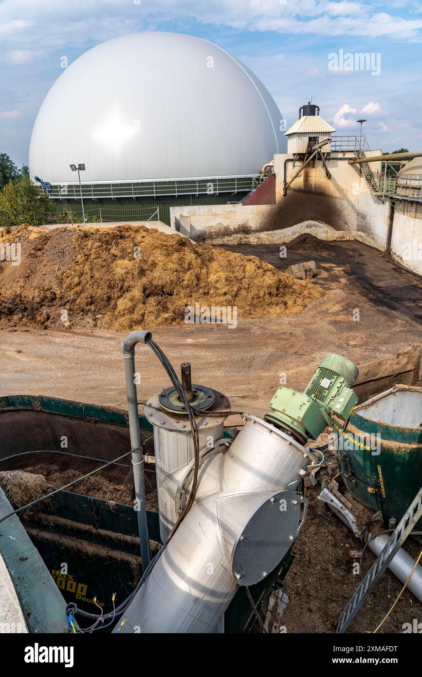 Biogas plant, gas storage, with dome, use of solid manure as energy ...