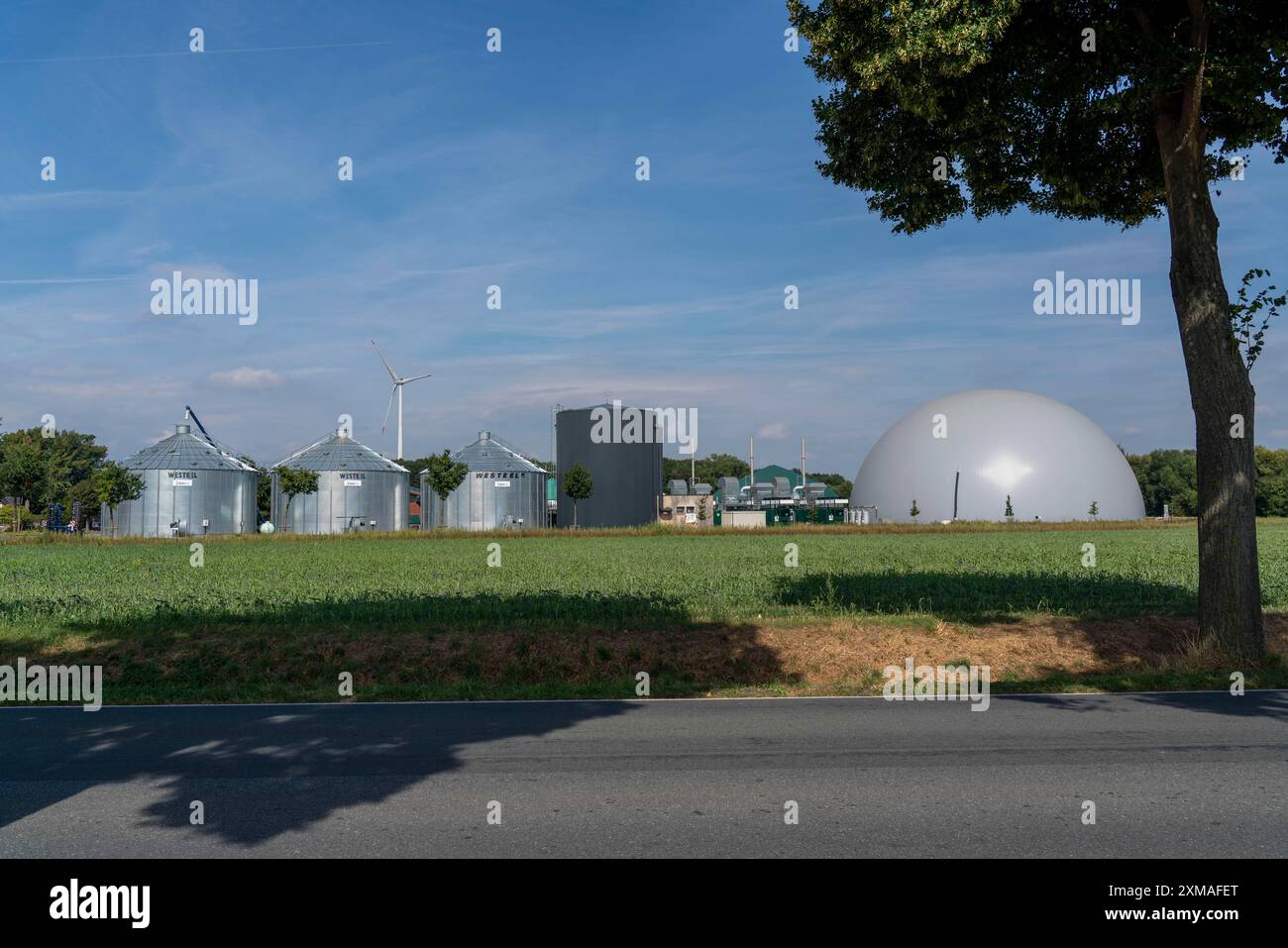 Biogas plant, storage silos, large buffer tank for hot water for ...