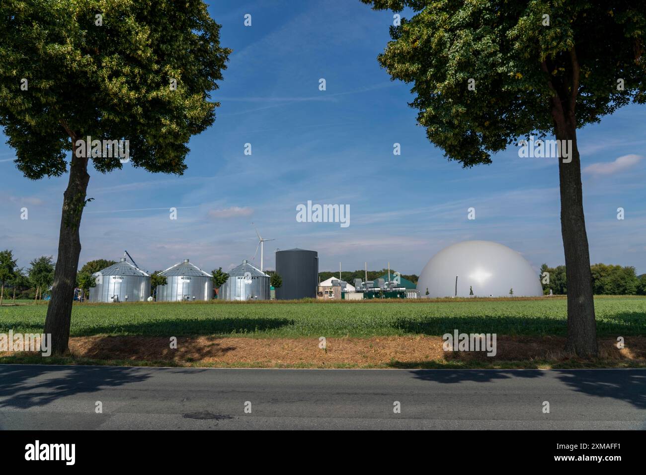 Biogas plant, storage silos, large buffer tank for hot water for ...