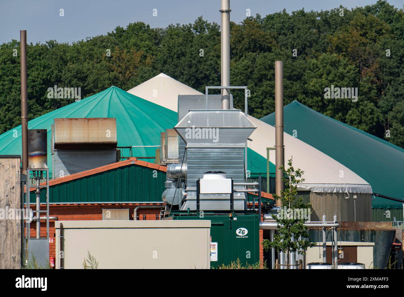 Biogas plant, combined heat and power plants, for power generation ...