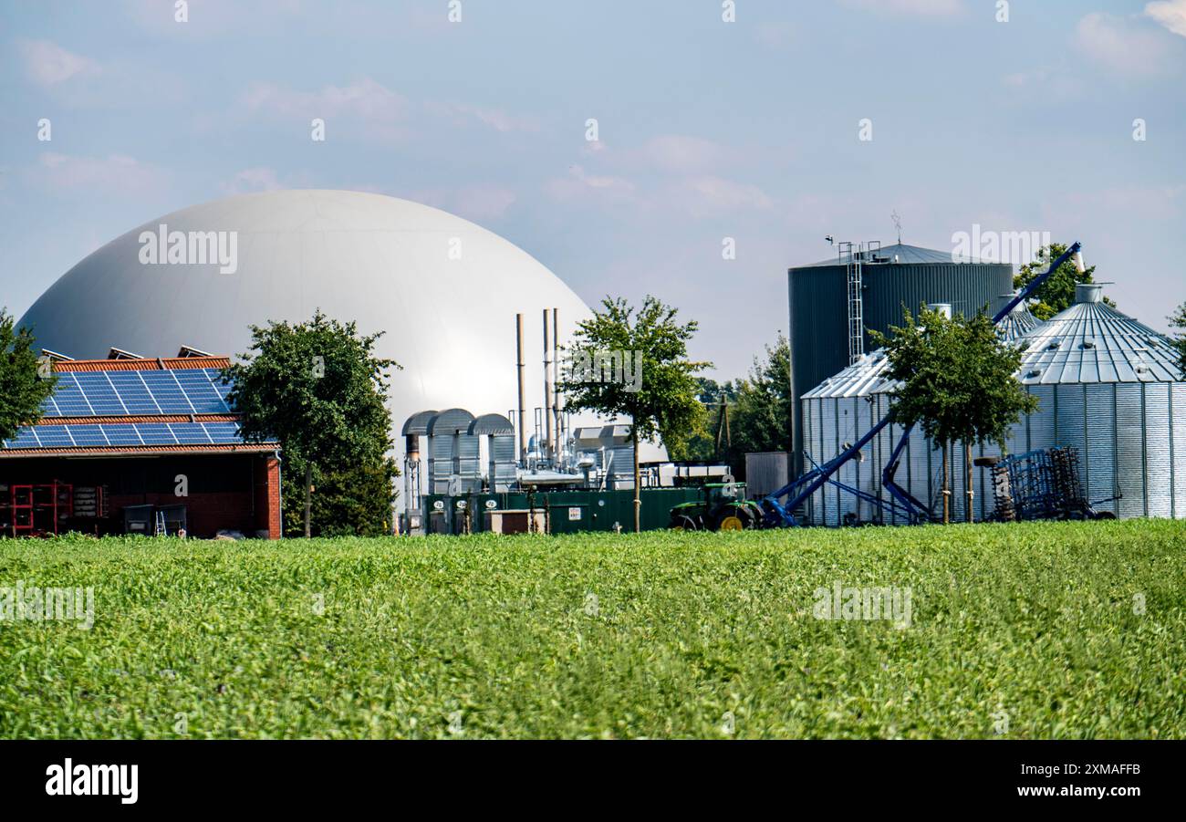 Biogas plant, storage silos, large buffer tank for hot water for ...