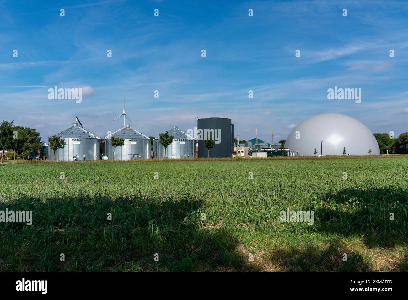 Biogas plant, storage silos, large buffer tank for hot water for ...