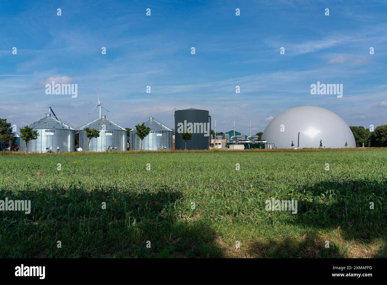 Biogas plant, storage silos, large buffer tank for hot water for ...