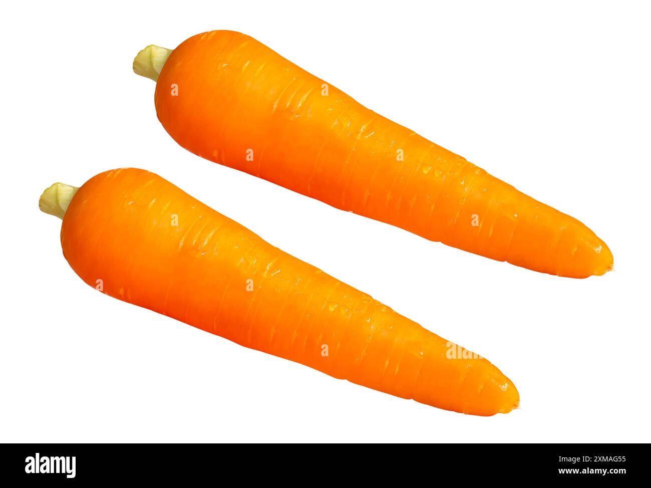 Top view set of orange carrots is isolated on white background with ...
