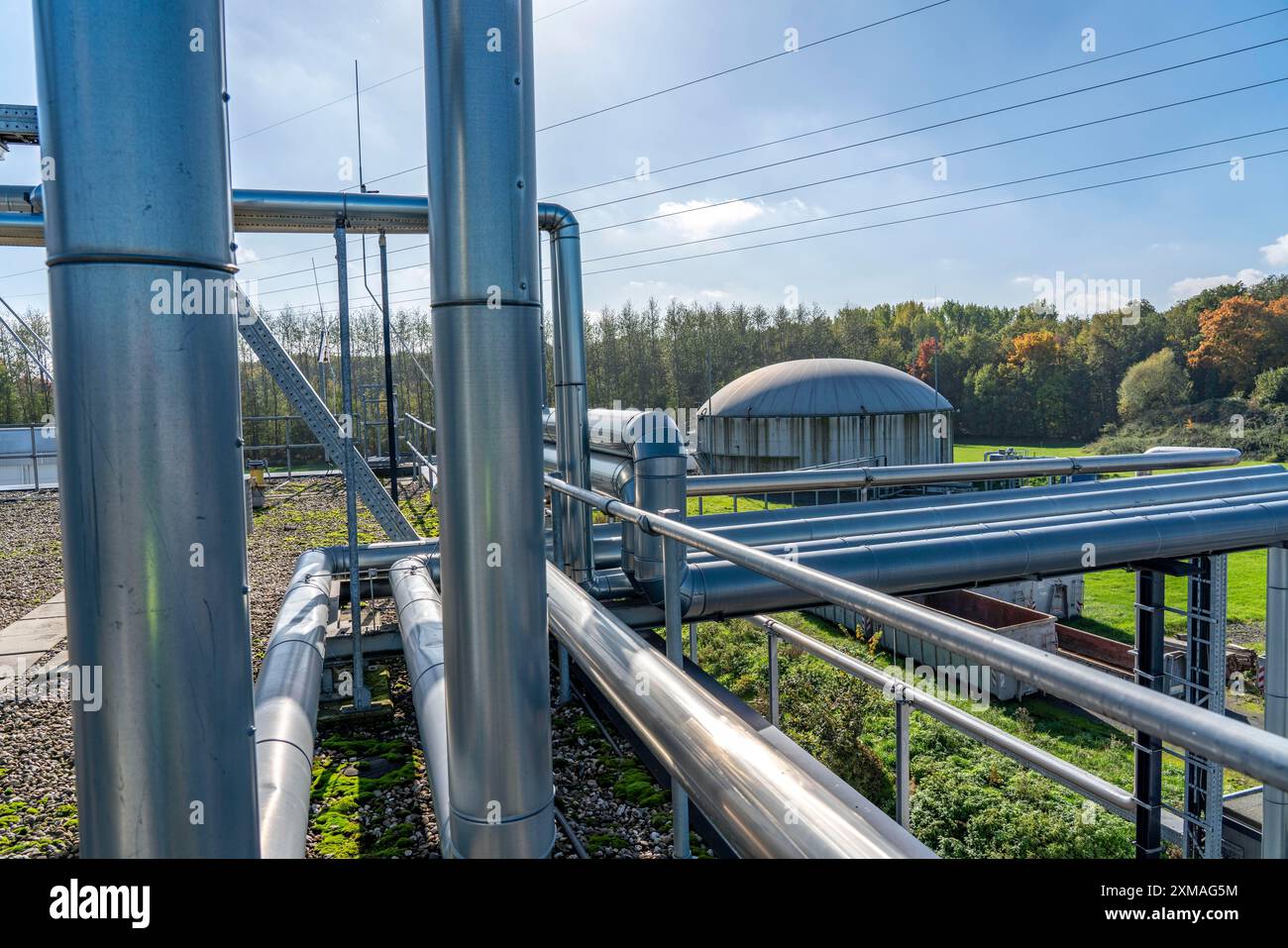 Biogas storage, pipelines of the Reterra biogas plant, biogas is ...